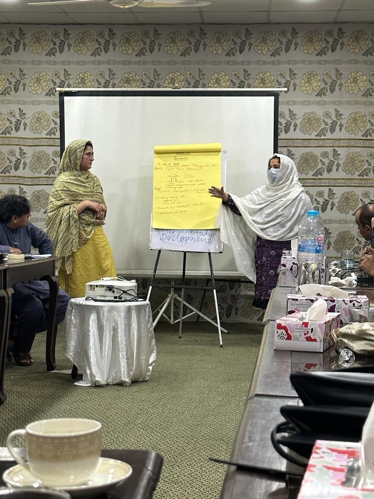What We Do – Alternate Development Services